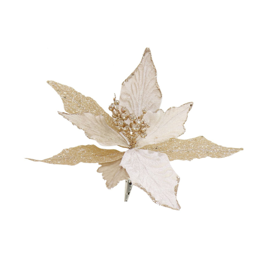 Festive Picks - Plants Galore